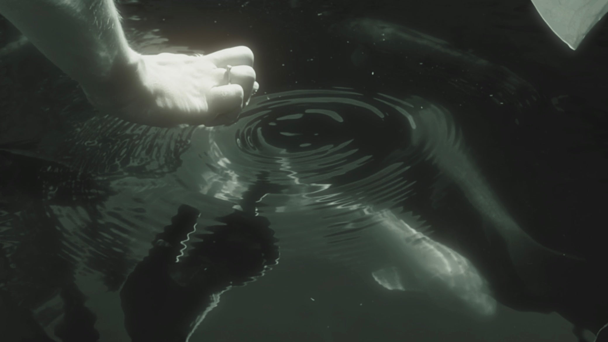 Saphiro Collection – SAPHIRO di Iana Fedrigo Culeac - p.iva 04856280237